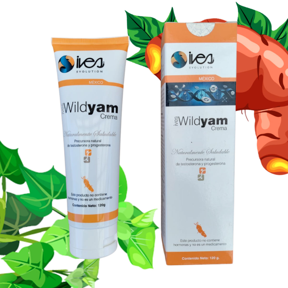 Crema De Camote Silvestre Wild Yam Ives Evolution 120 g. - Venta de ...
